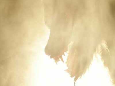 Blood Marsh: Krackoon Wraps to the Sound of a Mutant Racoon | HNN