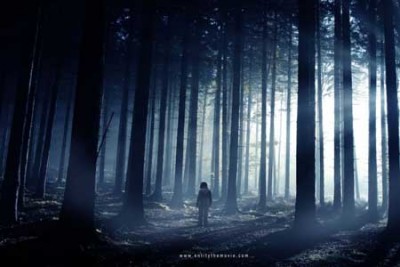 Film Review: Entity (2012) | HNN