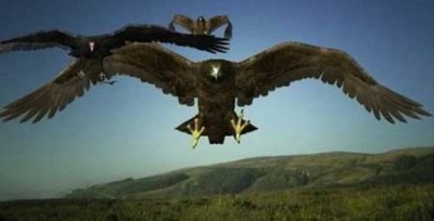 Film Review: Birdemic 2: The Resurrection (2013) | HNN