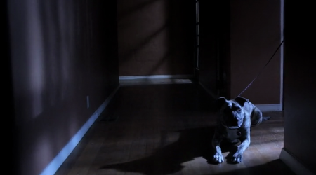 Film Review: Saturday Morning Mystery (2012) | HNN