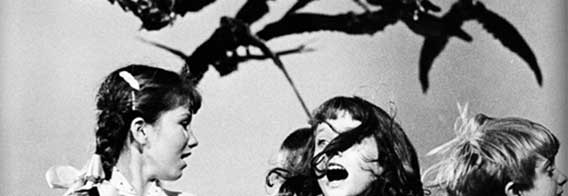 Top 10 Animals in Horror Films | HNN