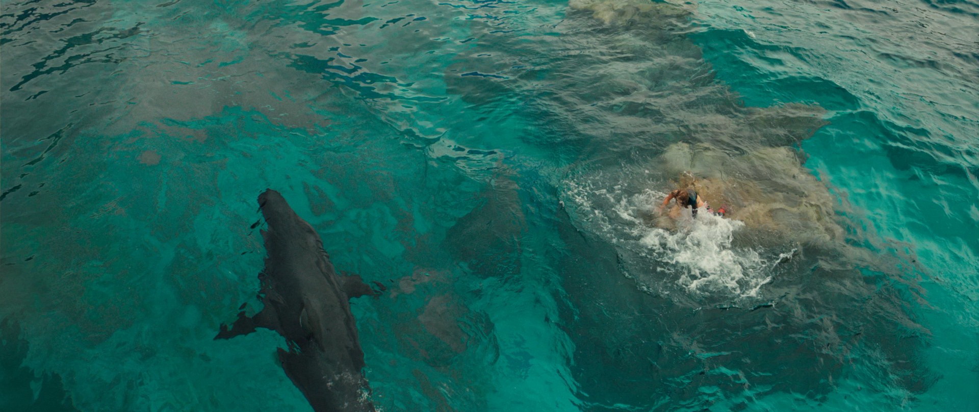 Film Review: The Shallows (2016) | HNN