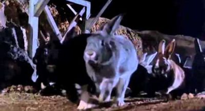Film Review: Night of the Lepus (1972) | HNN