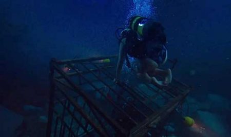 Film Review: 47 Meters Down (2017) | HNN