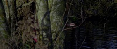 Film Review: The Hatching (2016) | HNN