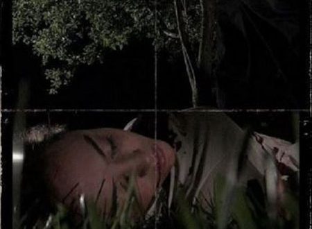 Midsummer Nightmares (2011) | HNN