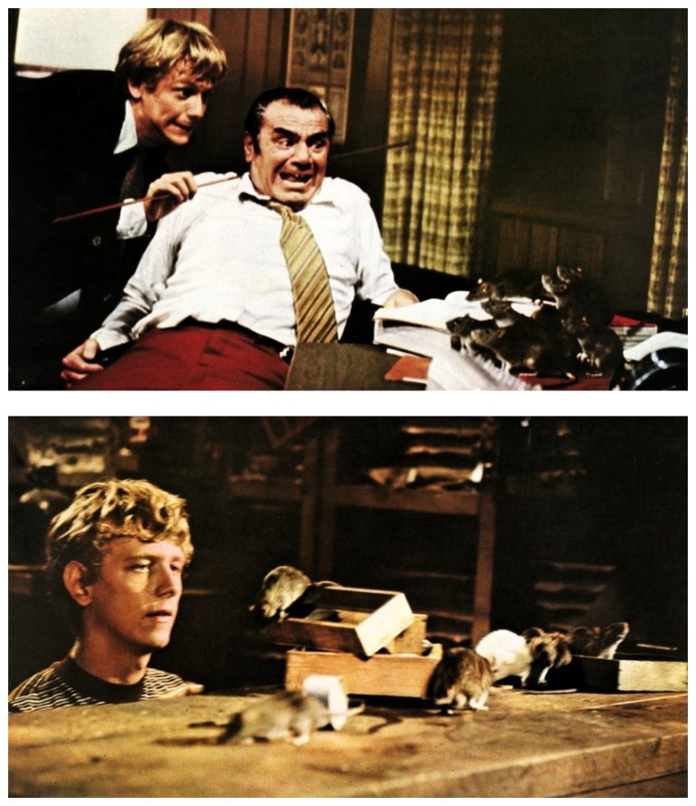Film Review: Willard (1971) | HNN