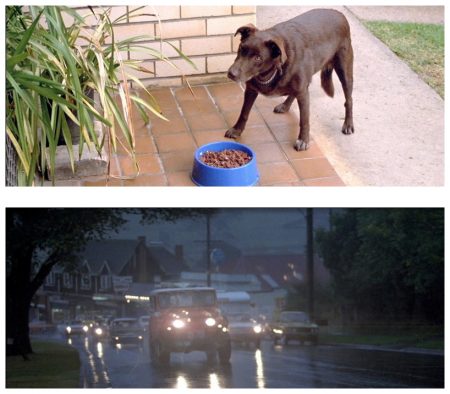 Film Review: Long Weekend (1978) | HNN