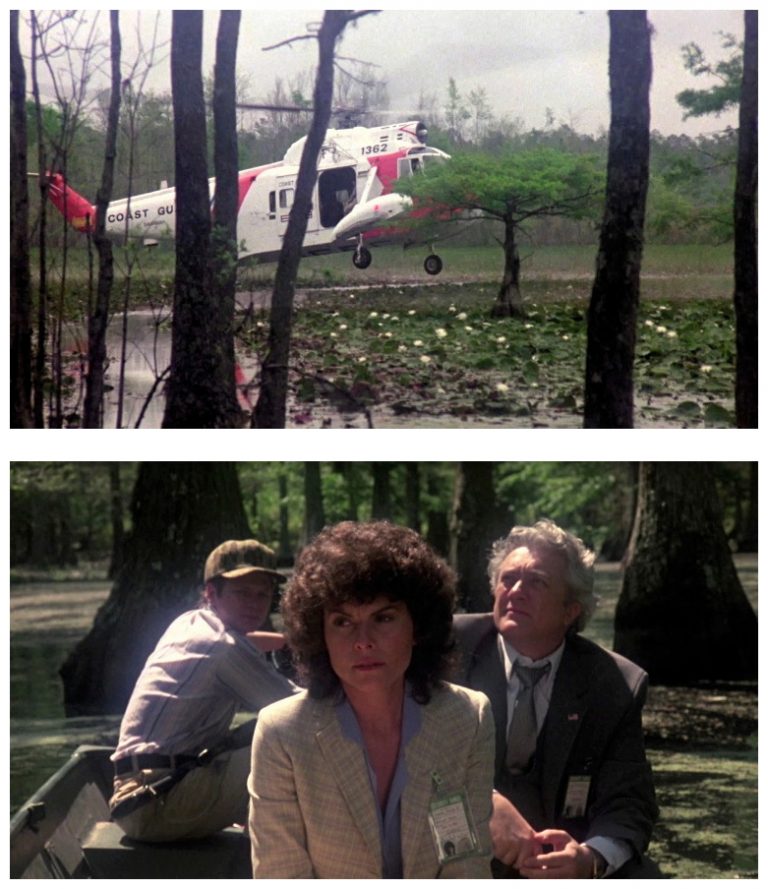 Film Review: Swamp Thing (1982) - Review 2 | HNN