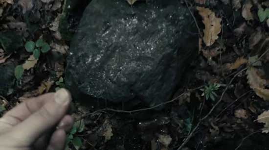 Film Review: Moth (2016) | HNN