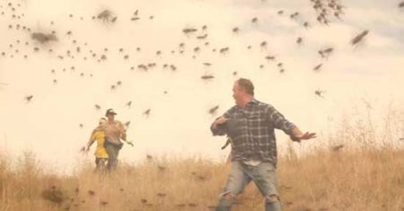 Film Review: Tsunambee (2015) | HNN