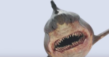 Toxic Shark (2017) | HNN