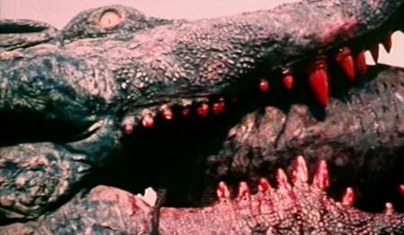 Film Review: Crocodile (1979) | HNN