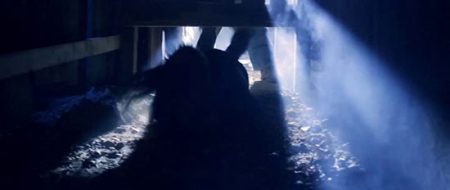 Film Review: Talon Falls (2017) | HNN
