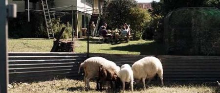 Film Review: Boar (2017) | HNN