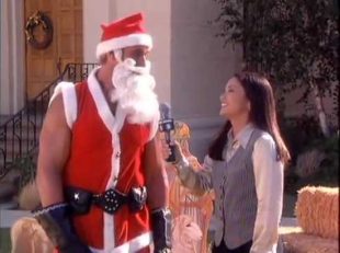 Film Review: Santa With Muscles (1996) | HNN