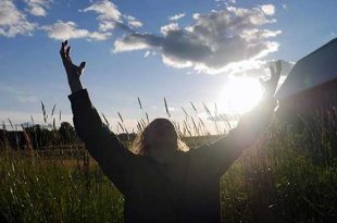 Film Review: Return to Splatter Farm (2020) | HNN