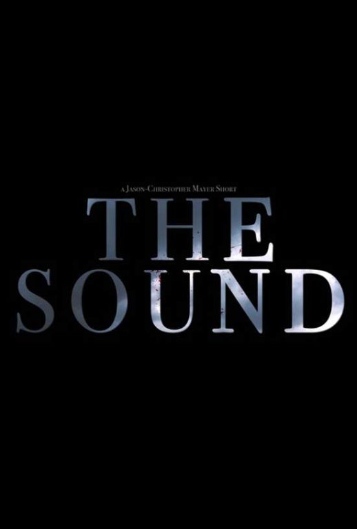 Interview: Jason-Christopher Mayer (The Sound) | HNN