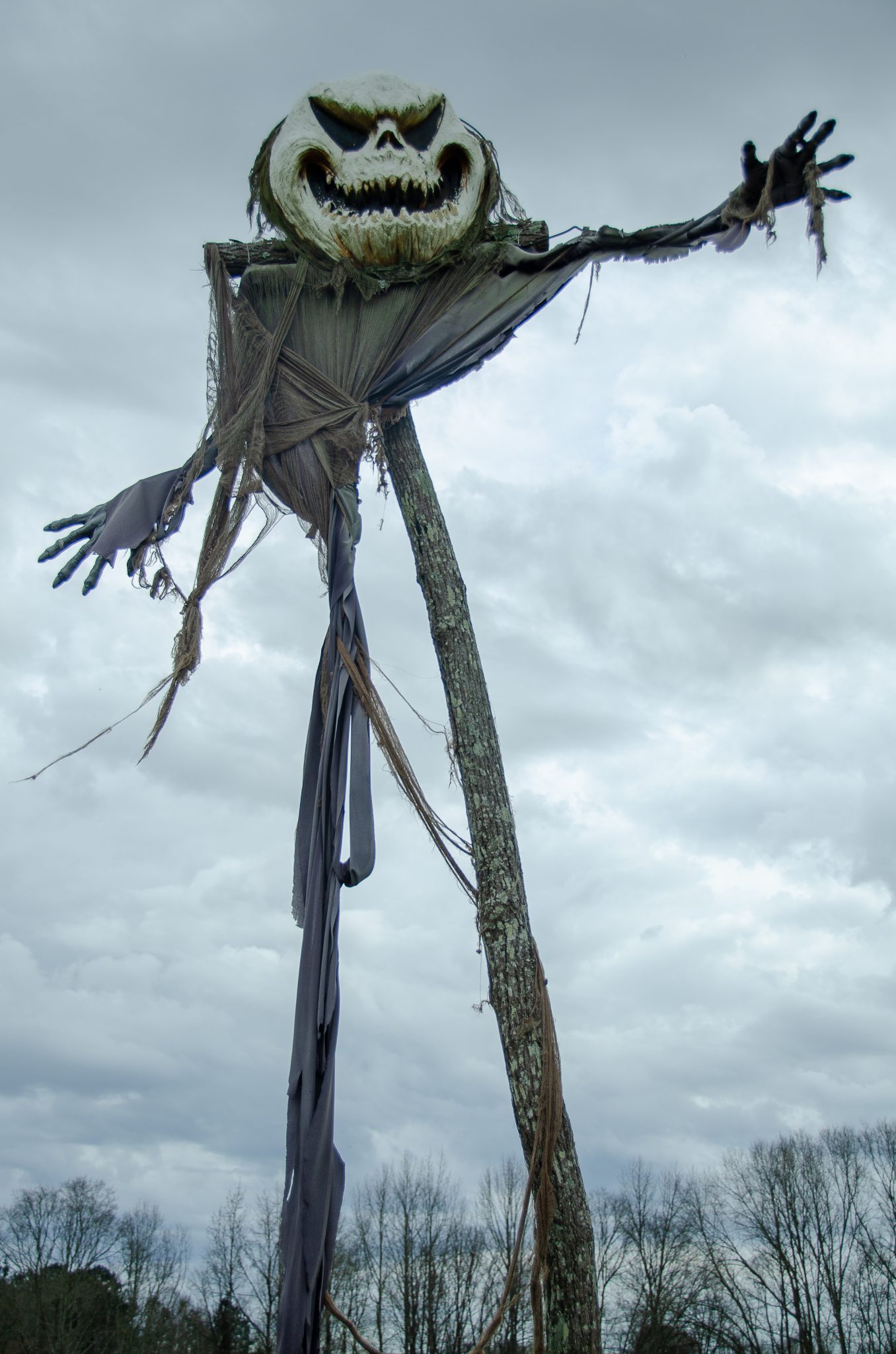 Exclusive Photos: HELLBILLY HOLLOW | HNN