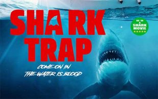 Production on SHARK TRAP starring Casper Van Dien begins in November! | HNN