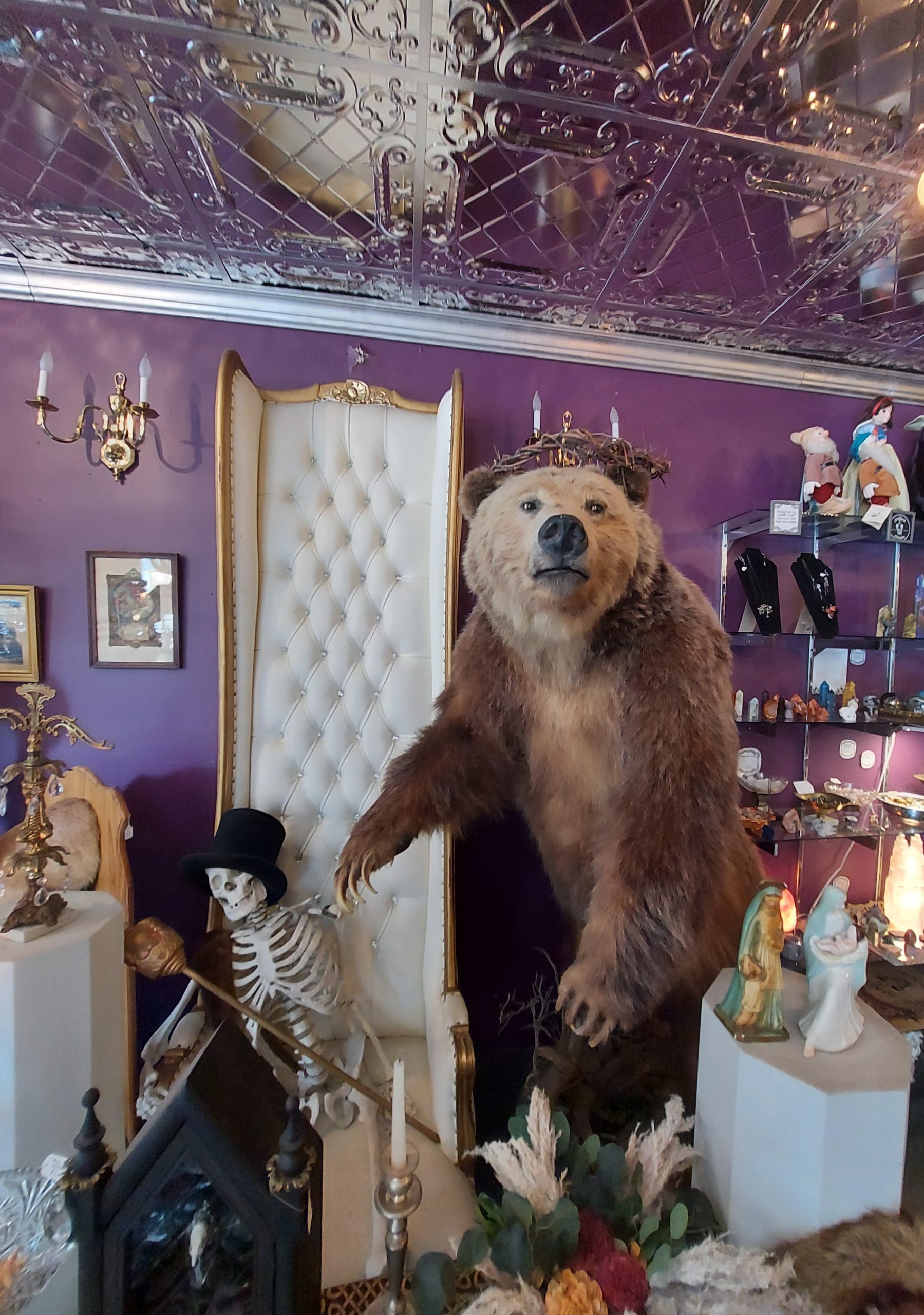 Destination Review: The Strange and Unusual Oddities Parlor | HNN