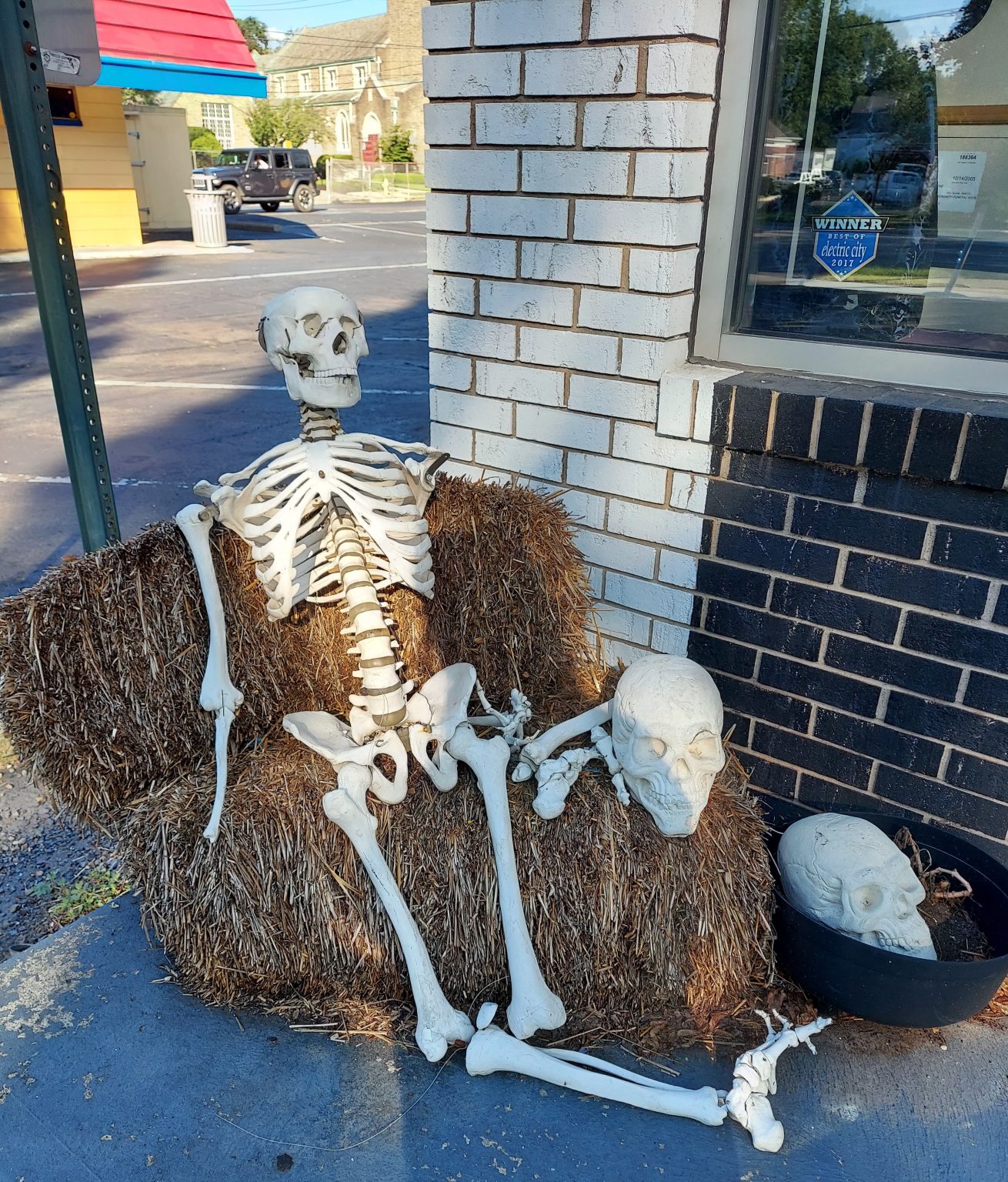 Destination Review: The Strange and Unusual Oddities Parlor | HNN