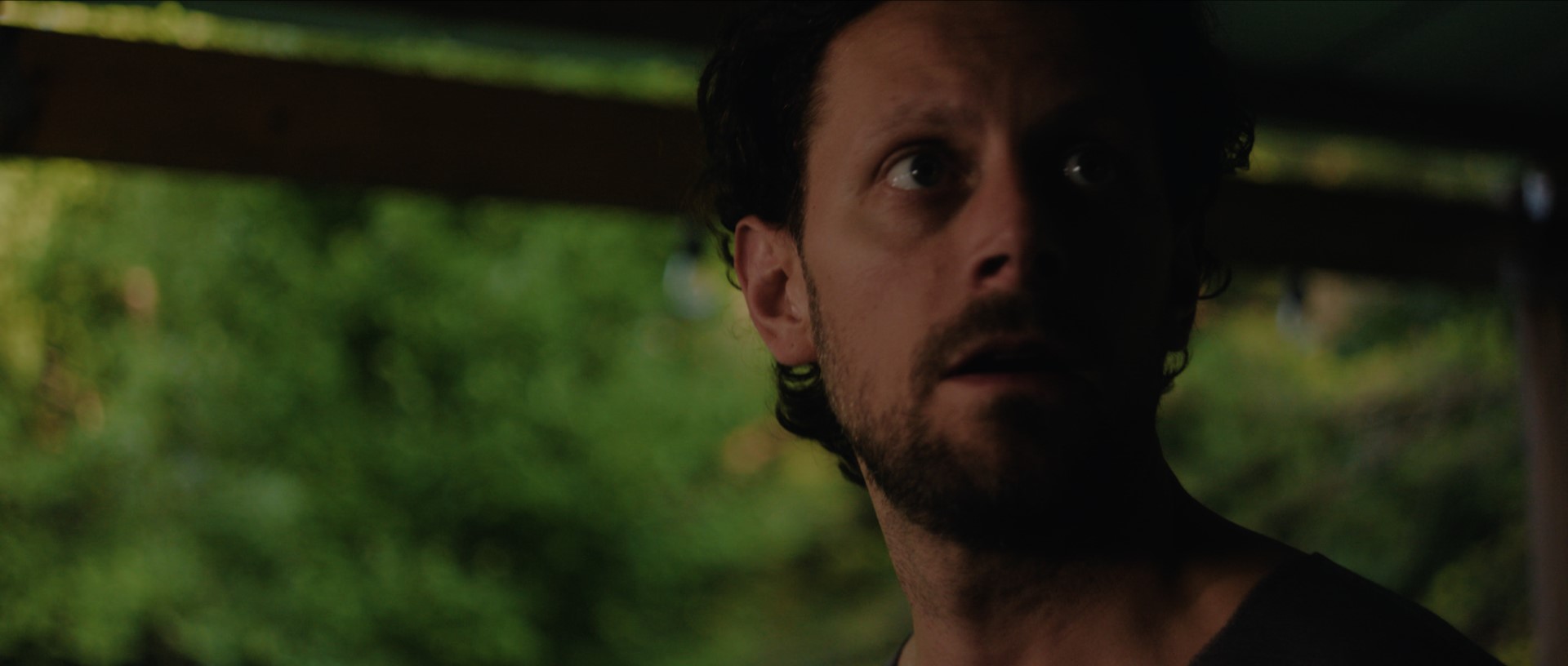 First Look at the Home Invasion Monster Movie, LESIONS | HNN