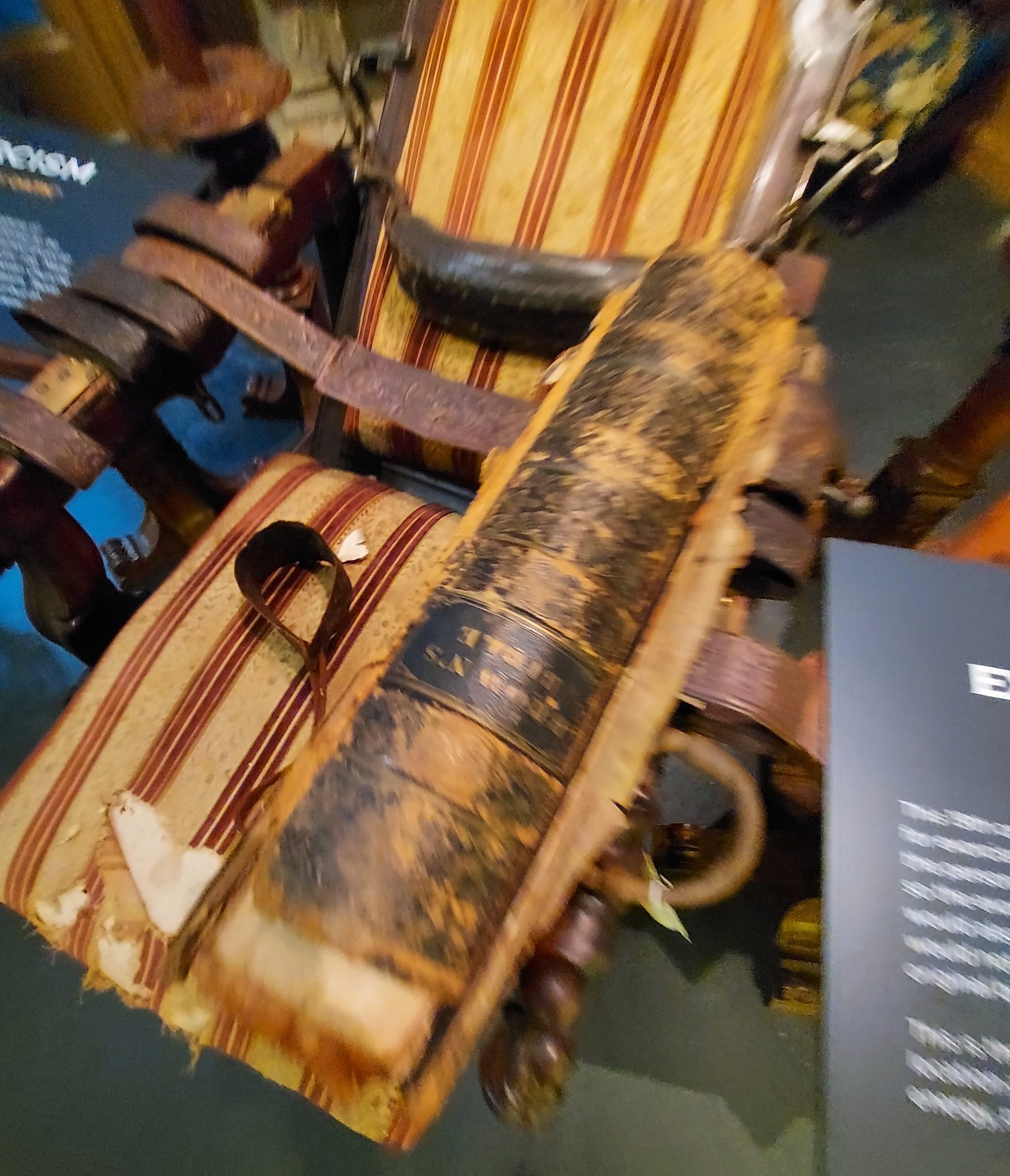 Destination Review: Vampa Museum - Vampire and Paranormal Museum | HNN