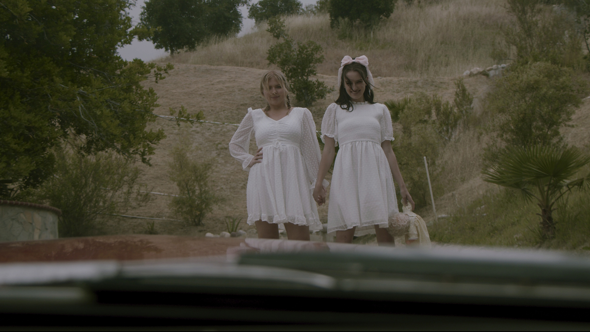 Spider Baby (2024) now available from Scream Team Releasing | HNN