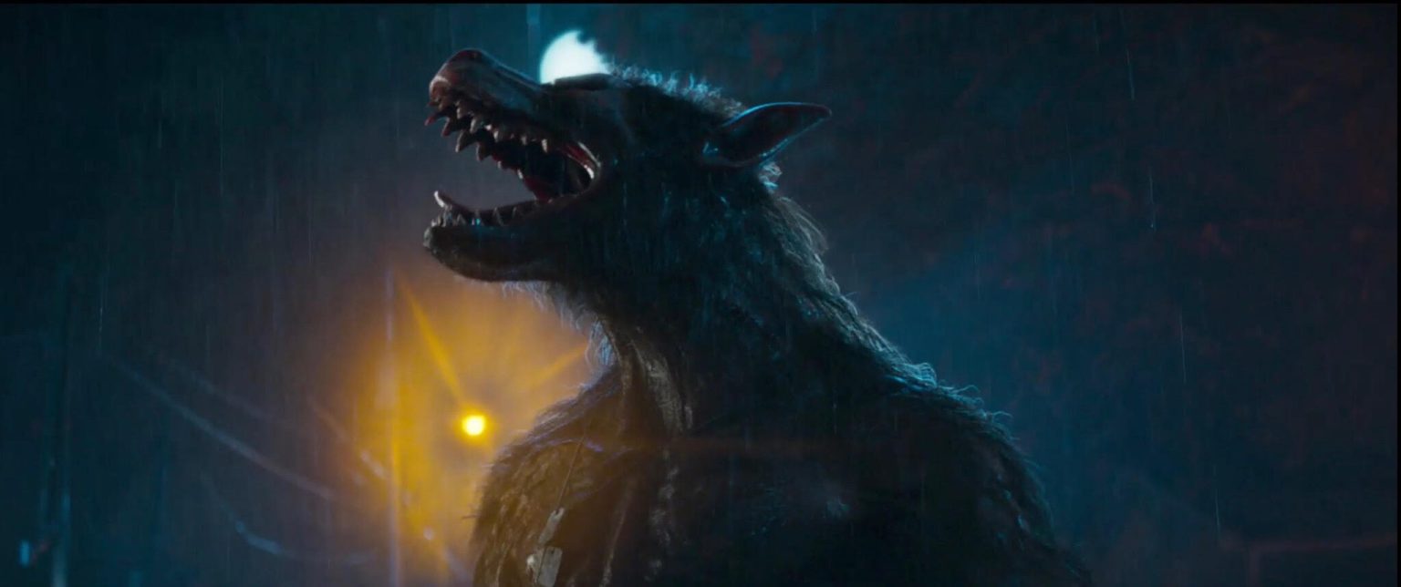 The Best Horror of 2024 | HNN