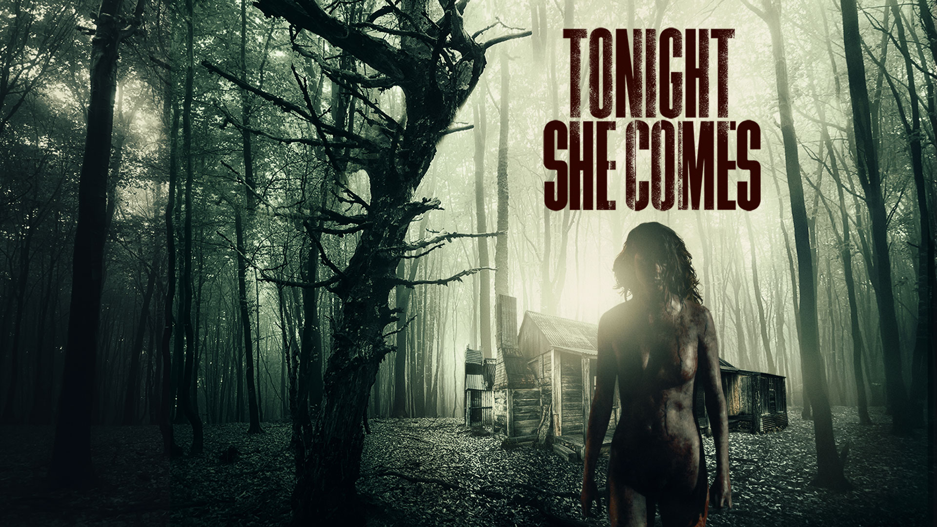 "She Comes Tonight" to MoviVue | HNN